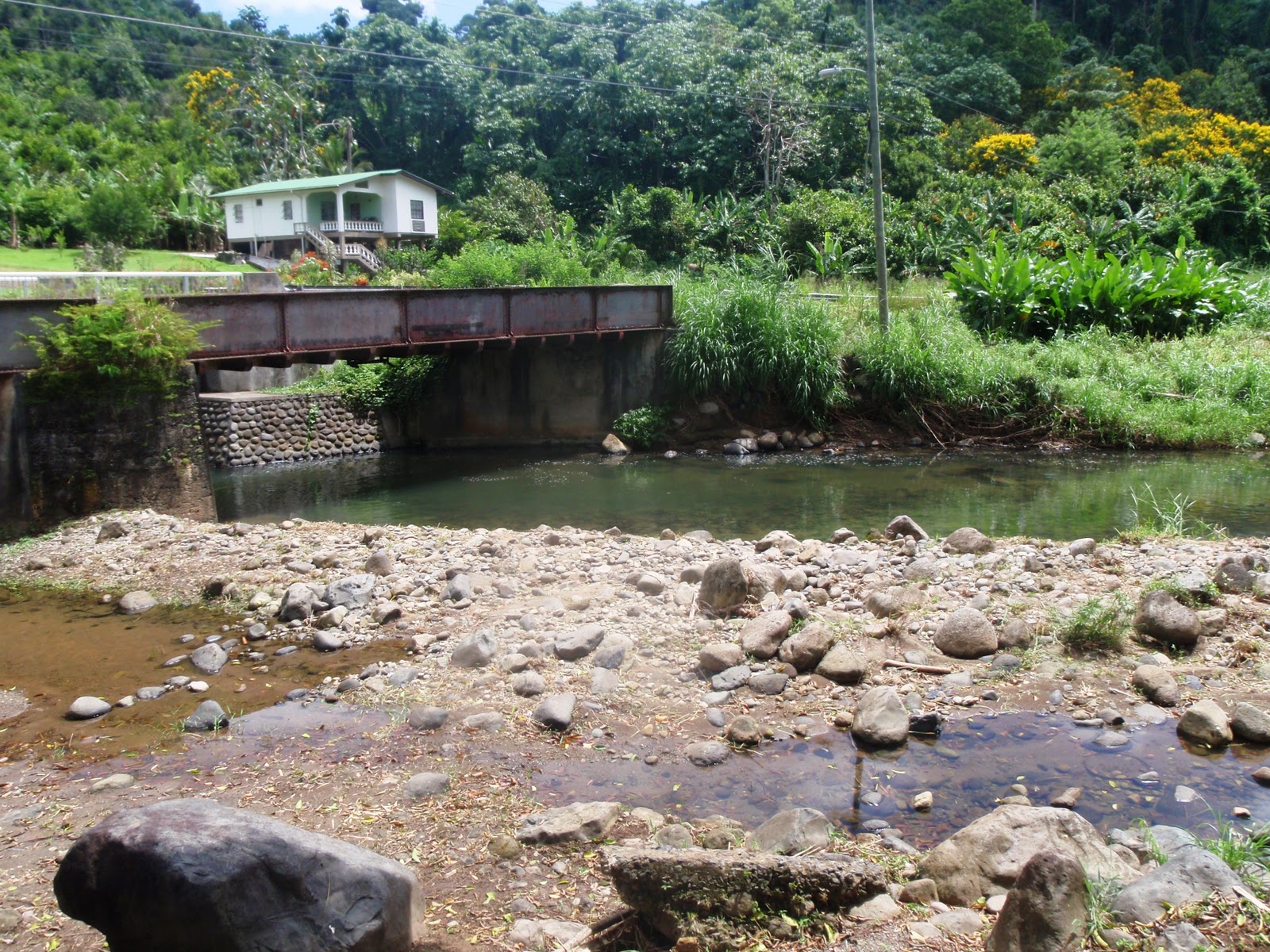 Somewhere, Beyond the Sea: River Tubing on the Balthazar River!