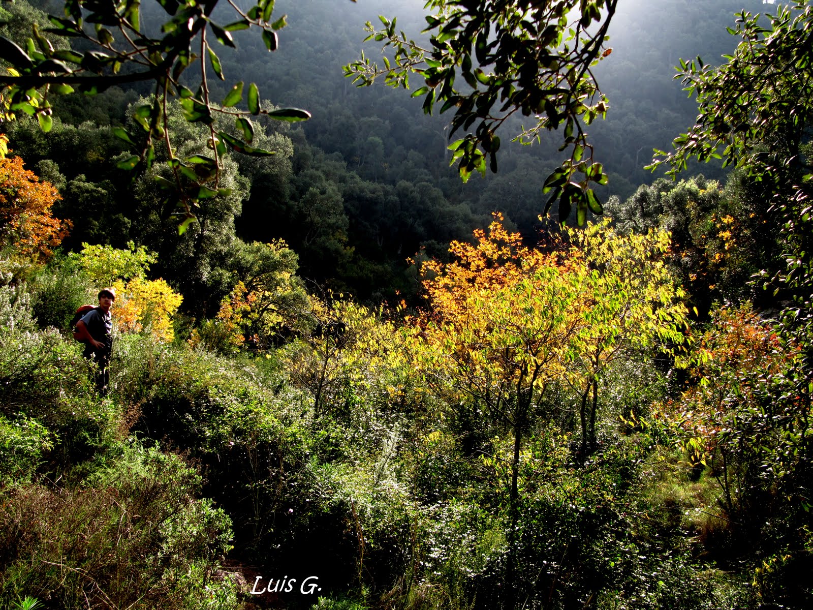 UN SOÑADOR POR LAS CUMBRES: Espadán, entre acordes otoñales