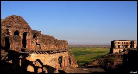 Che Guevara on the Road: The BOP Tijara Titans