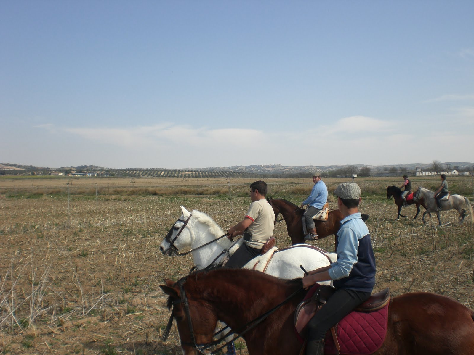 Salimos al campo.es: Salimos al campo con los caballos