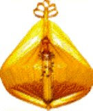 sasando rote: SASANDO INSTRUMENT ETNIS ROTE - NTT