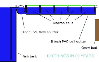 120 things in 20 years: Aquaponics - High density marron farm idea