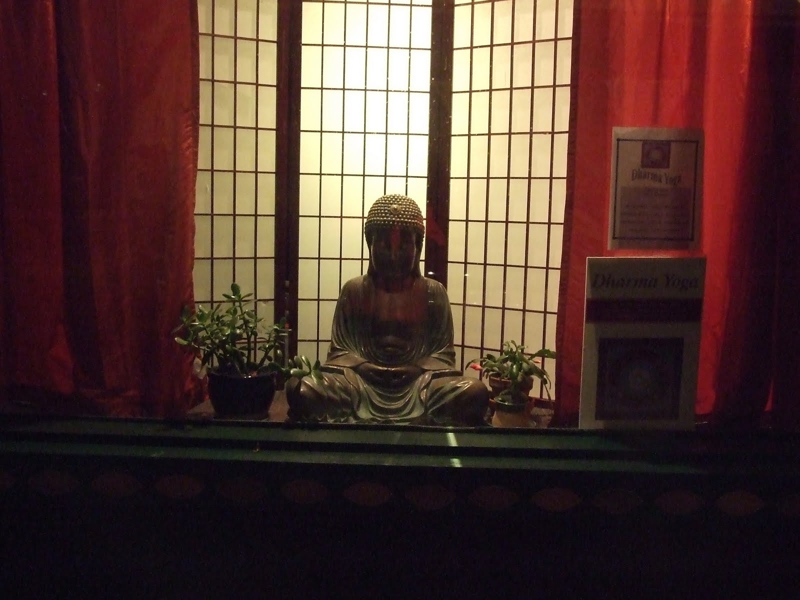 Dharma Yoga: DHARMA YOGA STUDIO - A Peaceful Sanctuary in the Heart of ...