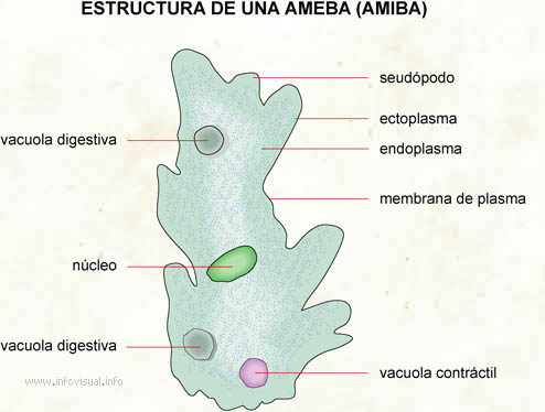 CIENCIAS