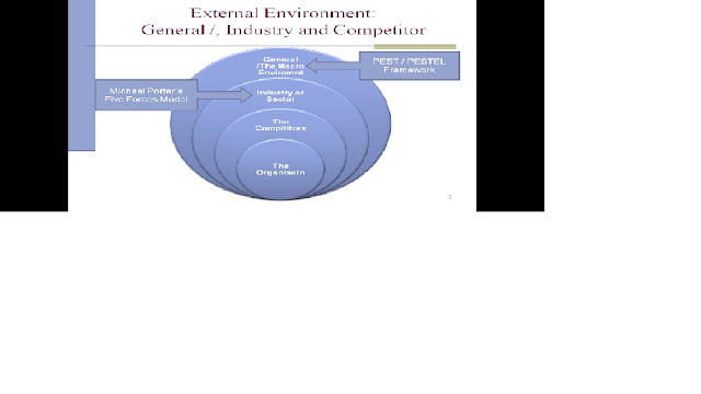 Strategic Management: Lecture 3- Exploring External Enironment ...