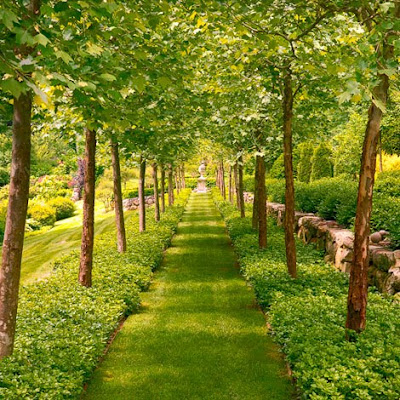 Casa Haus English: Magnificent Garden Design