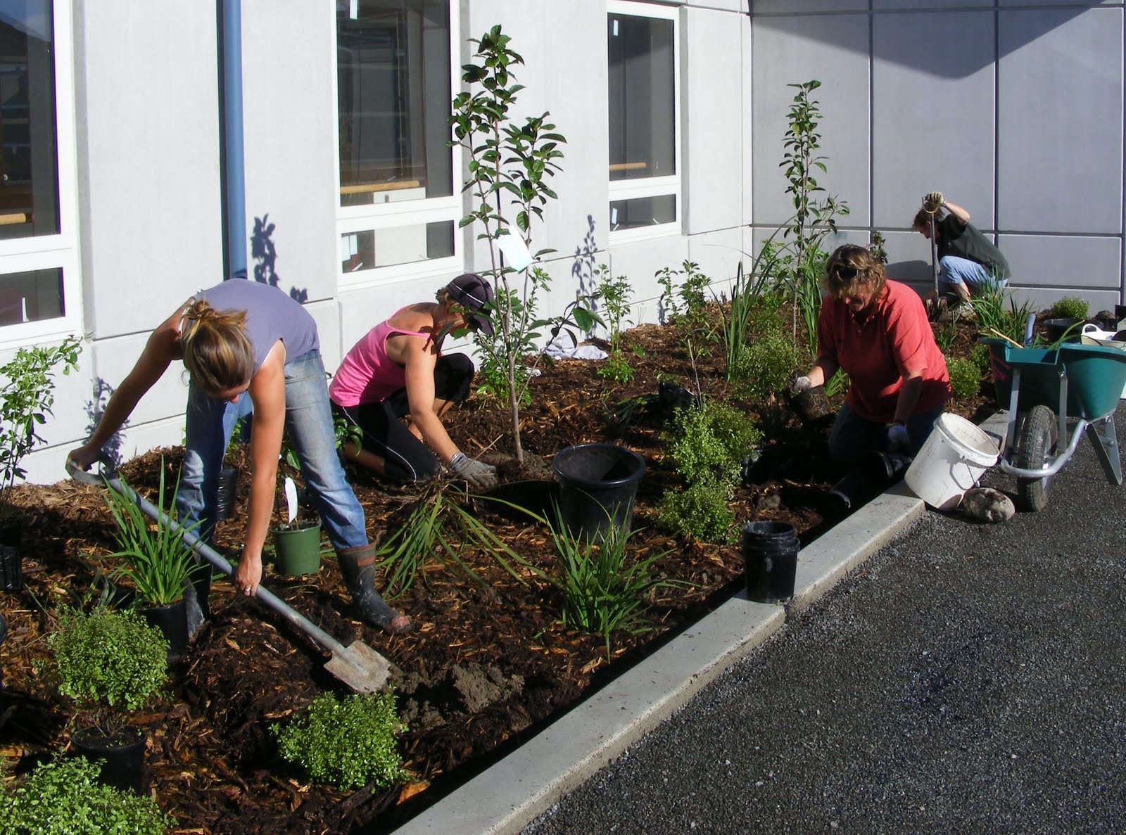 Rachel Callaghan Landscape Architect, NZ: The team at work