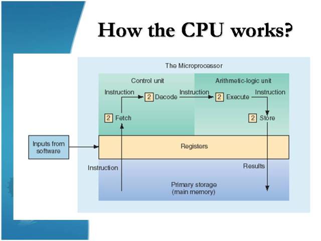 i.T 101: peopleware, hardware and software.. plus computer types part 1