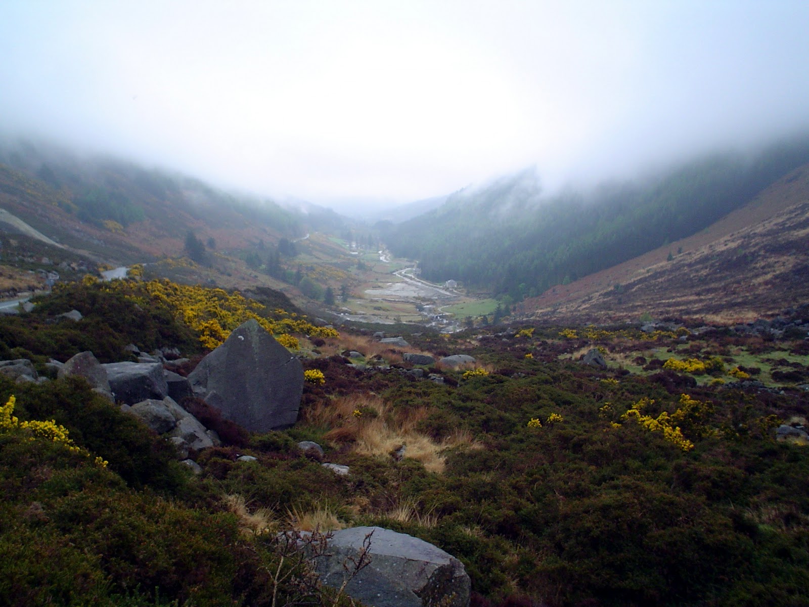 The Vegetarians Abroad: Wicklow Mountains (County Wicklow)
