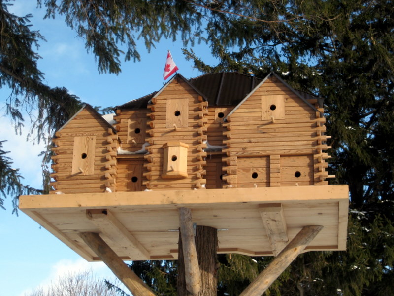 Extreme Birdhouses: Extreme Birdhouses