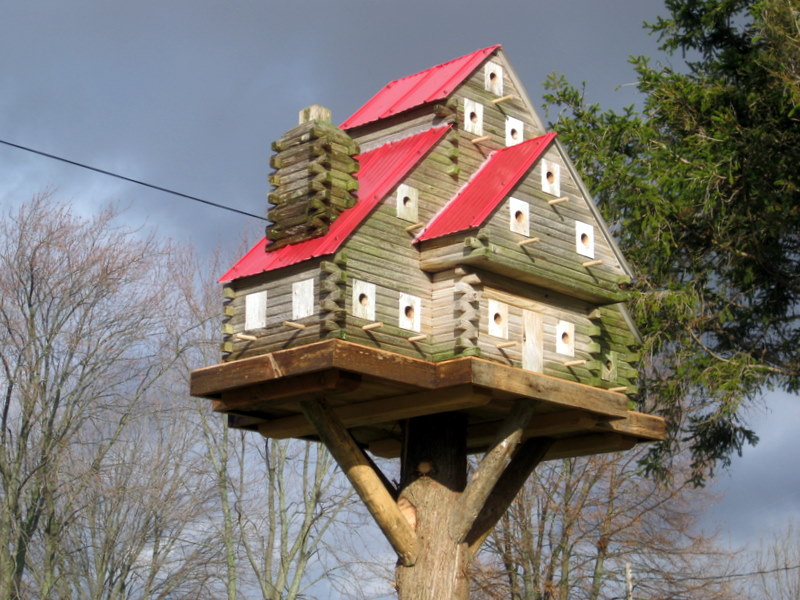 Extreme Birdhouses: Extreme Birdhouses