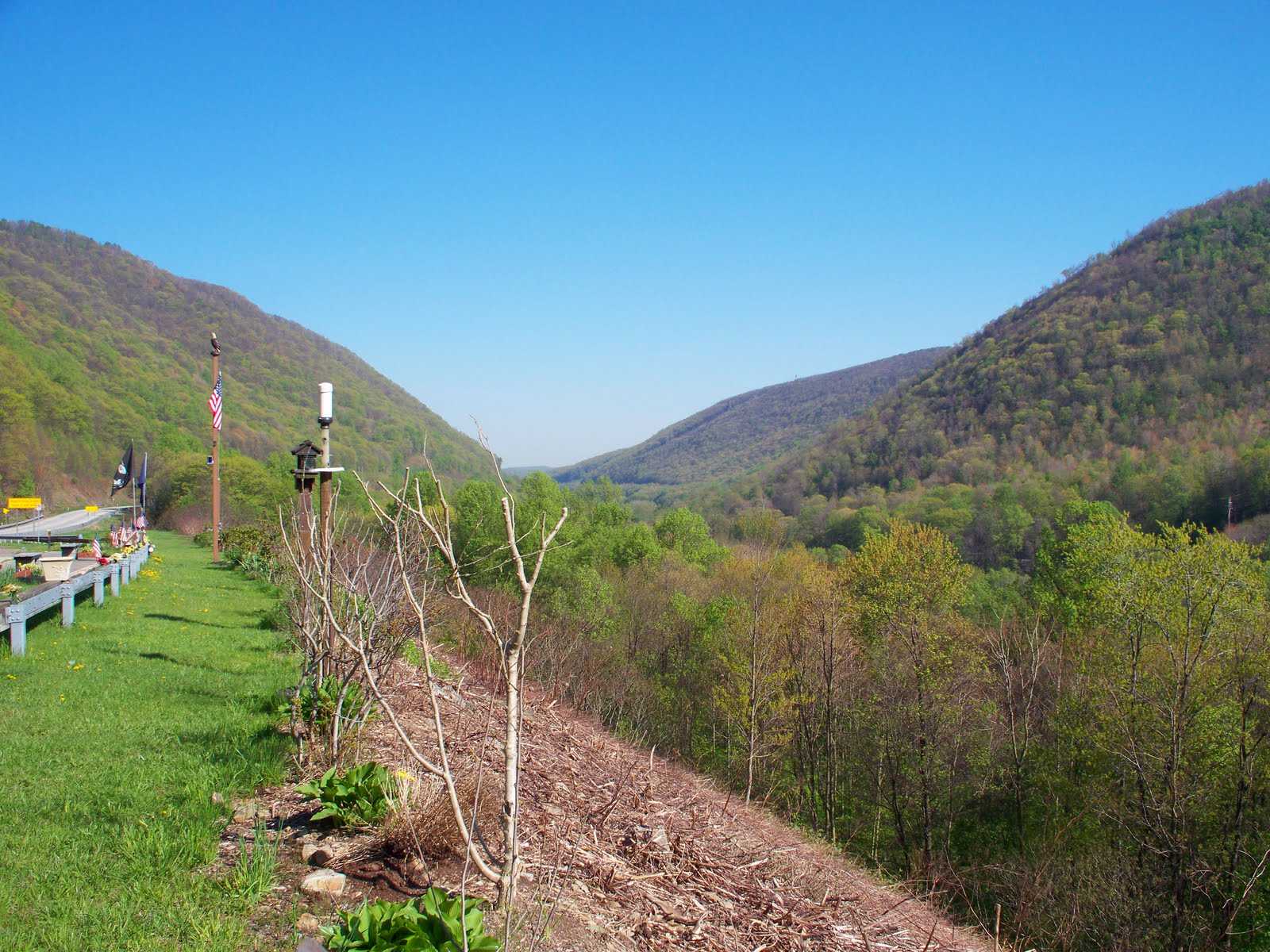 Laurel Hill Walks: Conemaugh Gap on this Last Day of April