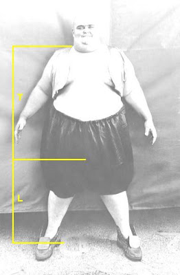 THE BIGGEST FATTEST BLOG: ANTHROMORPHOLOGY, MY VERY OWN STUDY OF ALL ...