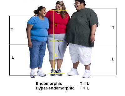 THE BIGGEST FATTEST BLOG: ANTHROMORPHOLOGY, MY VERY OWN STUDY OF ALL ...