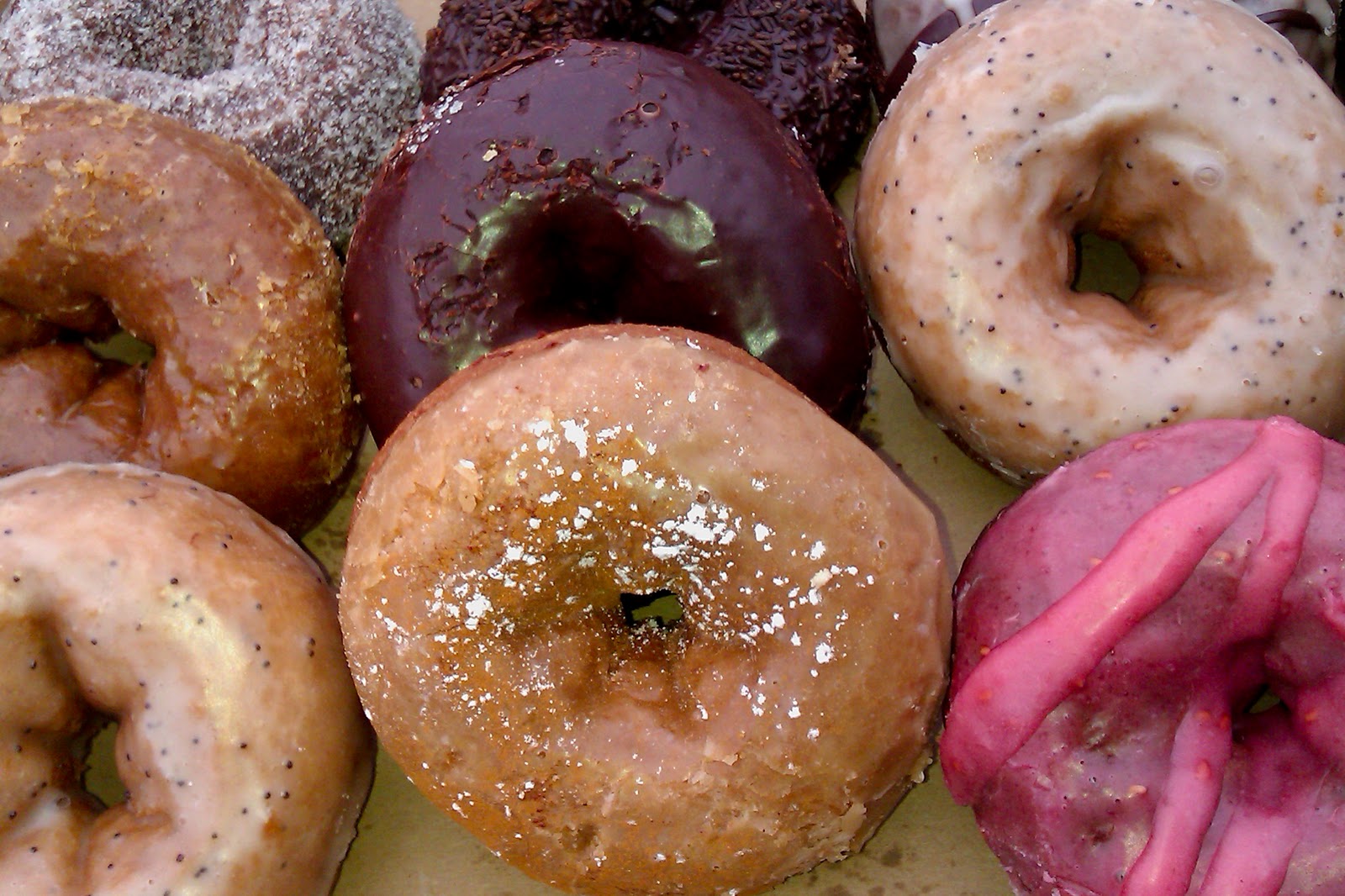 The Seattle Bucket List: Organic Goodness – Mighty O Donuts