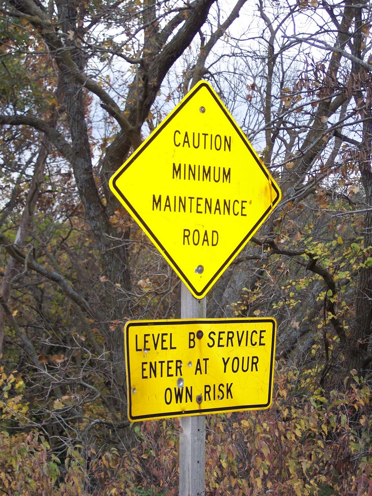 Hillside Reflections