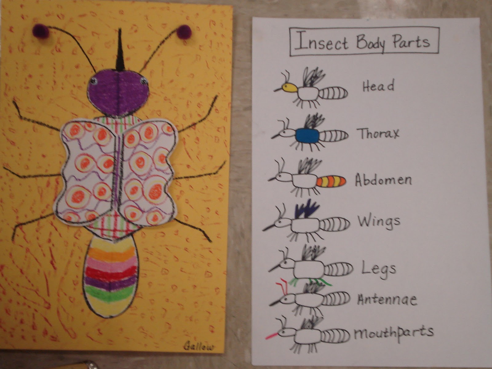 Creating Art: Symmetrical Insects