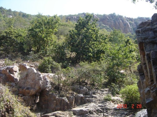 The Traveblogue: Chennai to Kona/Kone Falls