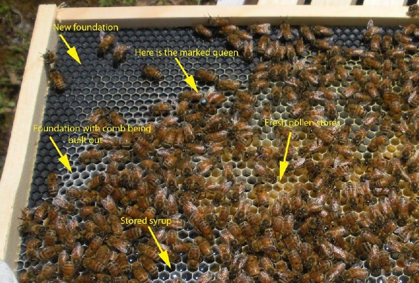 Gerry s Bees Frame Explanation gerry-s-bees-frame-explanation