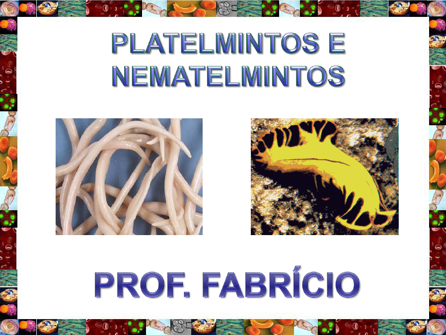 o melhor da ciência está aqui!!!: os platelmintos e os nematelmintos