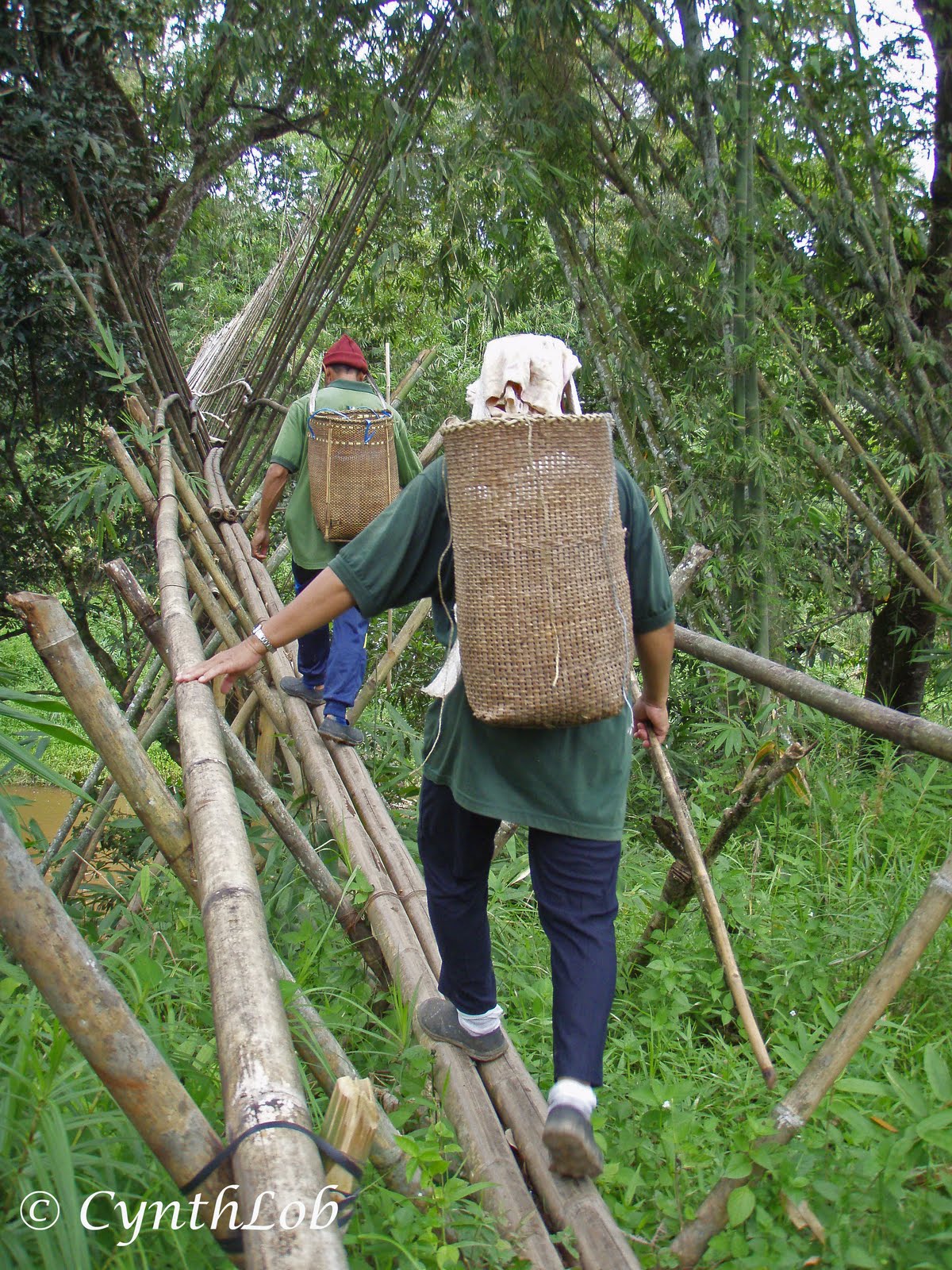 Malaysian Nature Society Kuching Branch: Follow the staircase to heaven.