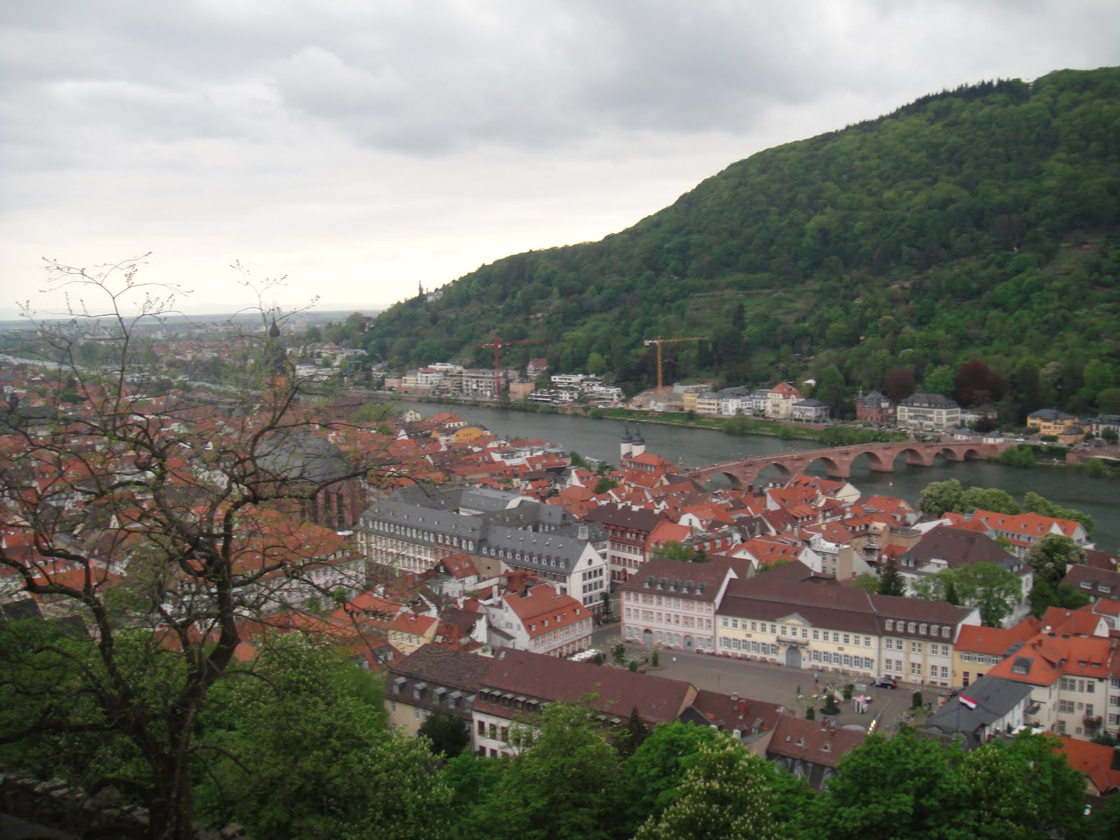 DOOOWIT!: I Left My Heart in Heidelberg