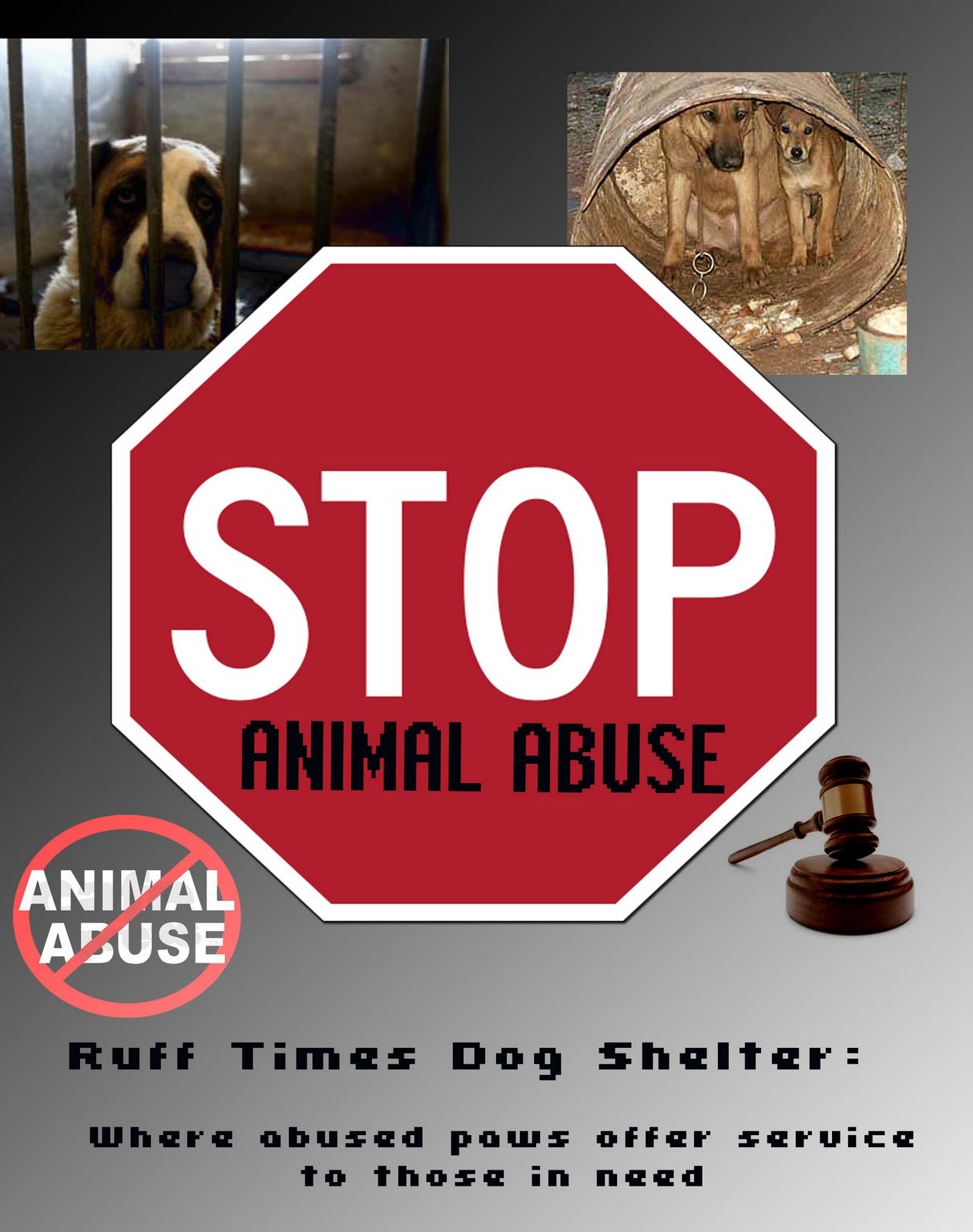 Fighting Animal Abuse