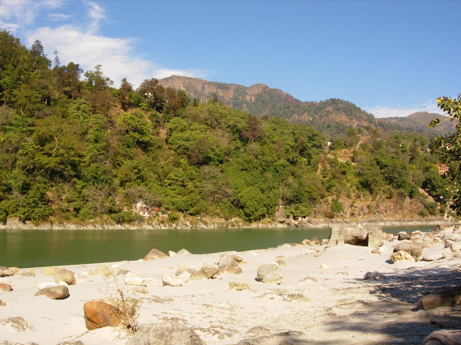 Zen Moraes : ... ficando "zen" mesmo pagando mico!!!