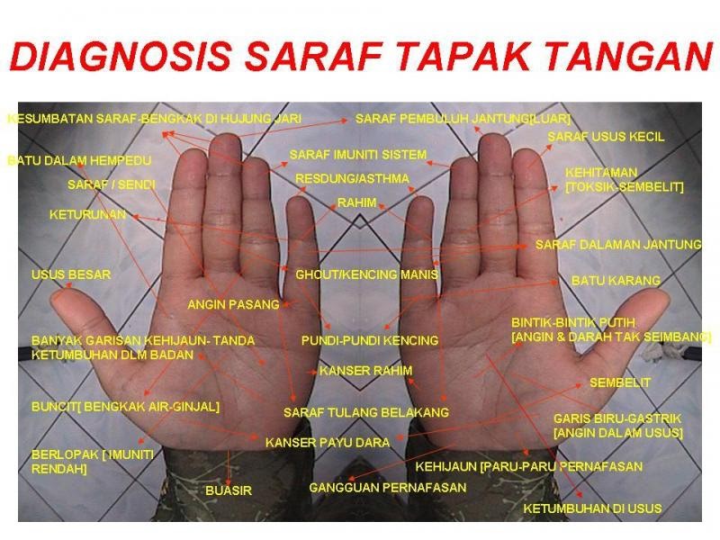 Kesihatan / Health: Kesan Penyakit dari Tapak tangan & Mata (Site ...