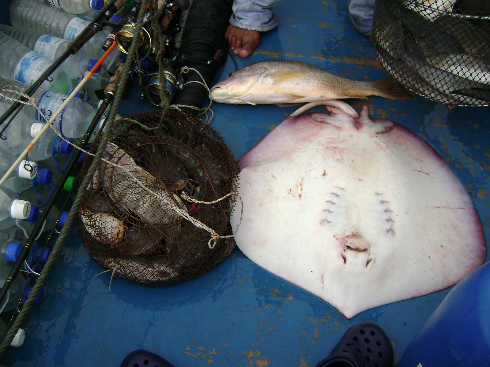 SewaBotPancing: Sewa Bot Pancing