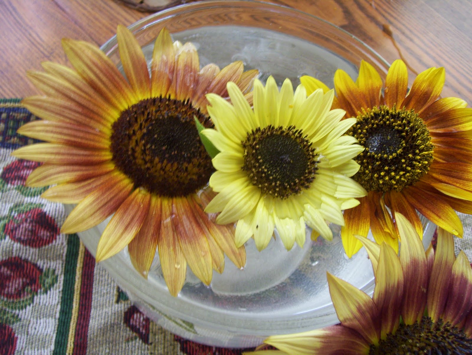 The Mandala of the Sunflower and Other Special Sunflower Mixtures