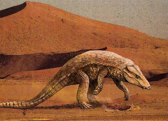 Mundo Pré-Histórico: Armadillosuchus, o crocodilo tatu