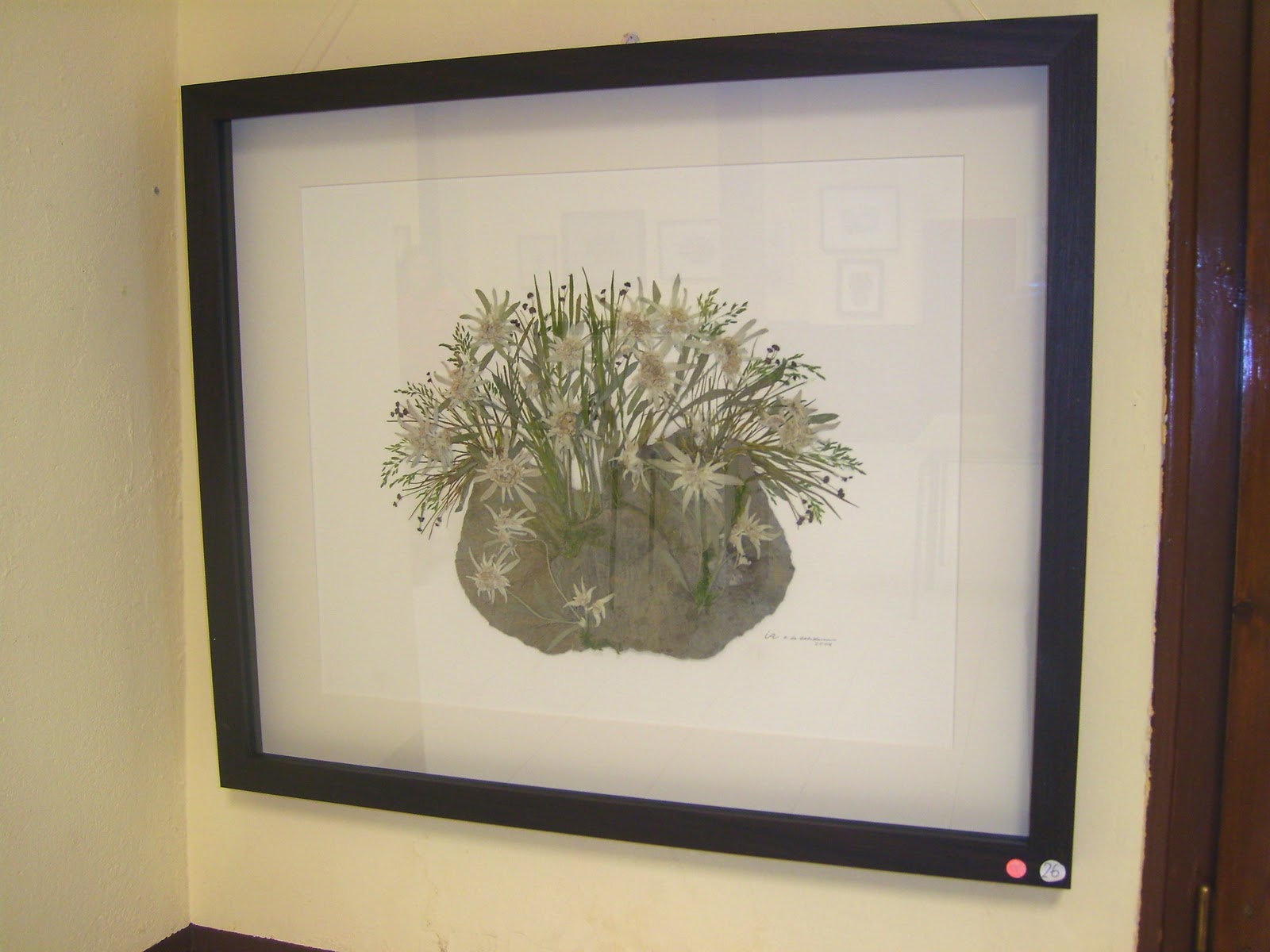 la Vall Ferrera: Flor seca del Pirineu: l'art de fer perviure la ...