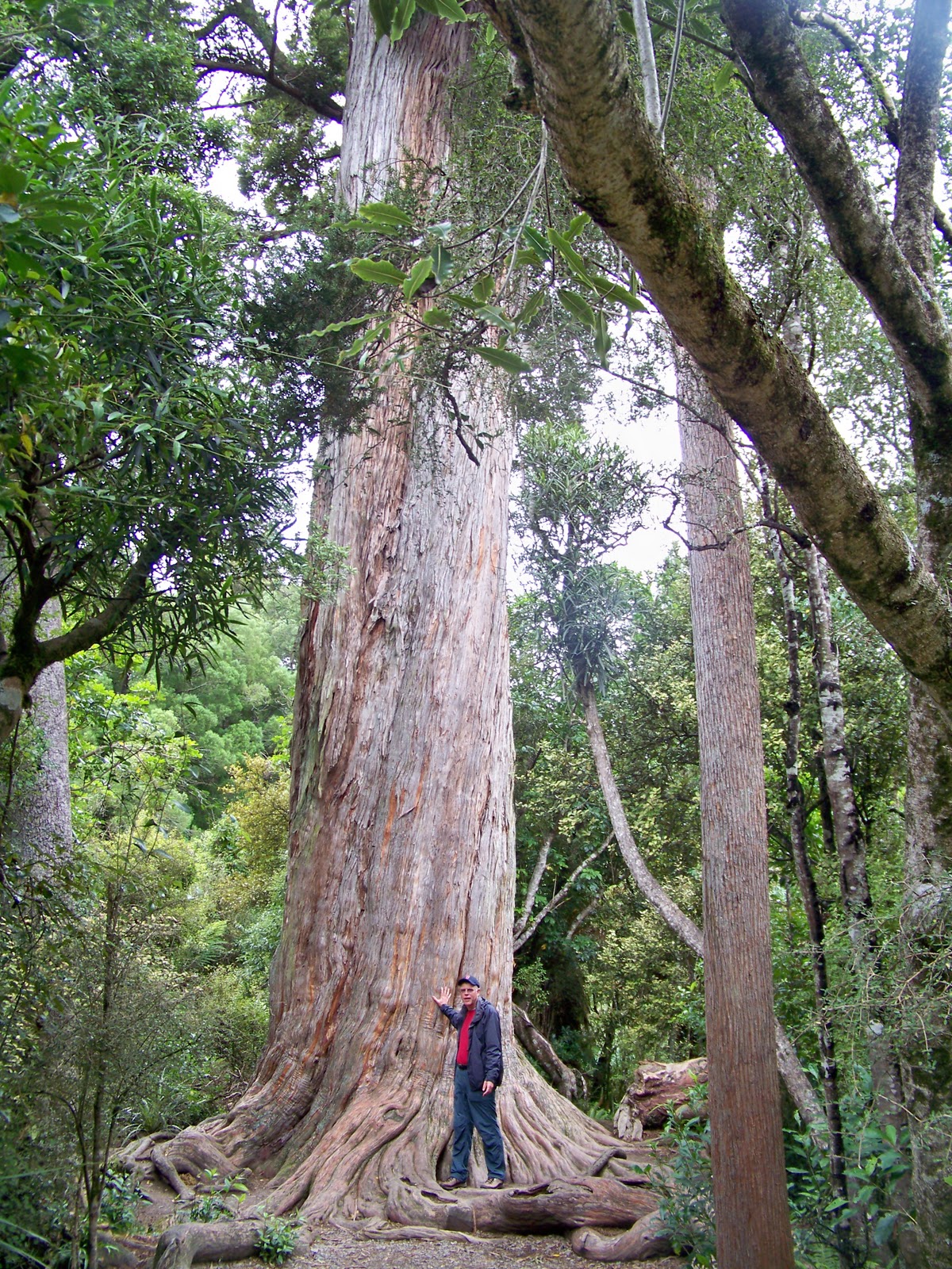 B and G in New Zealand: Dunedin - Part I