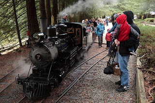 Tamerlane's Thoughts: Tilden Park Steam Train