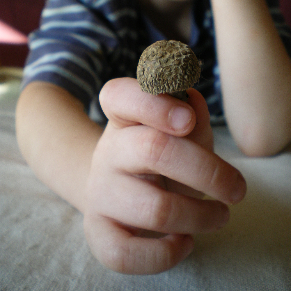 lil fish studios: Acorn Mushroom Ornament Tutorial