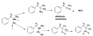 concepts in drug metabolism: Summary of Lecture II