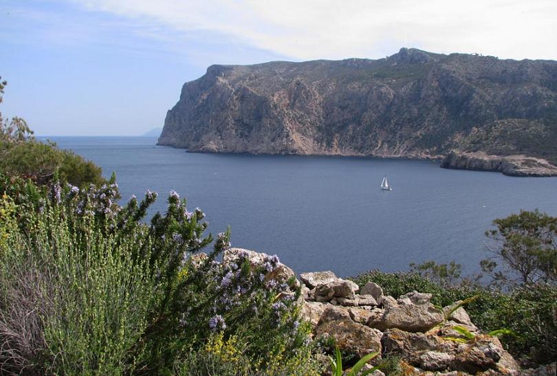 Mallorca es así también: LA ISLA DRAGONERA