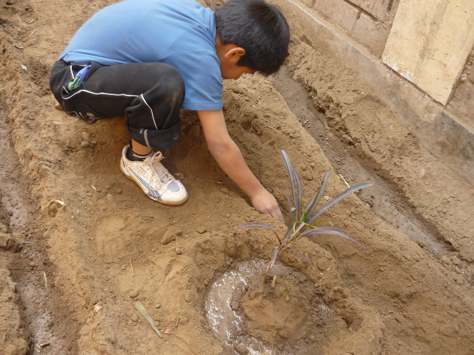 COMUNICÁNDONOS PARA APRENDER MÁS DE LA CIENCIA: BIOHUERTO ESCOLAR MOHMESINO