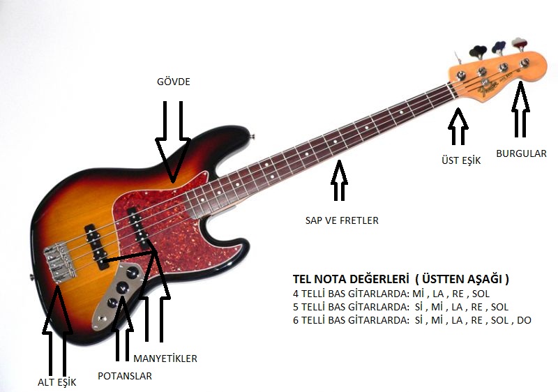 Online Bas Gitar Eğitimi: Temel Teknik Bilgiler