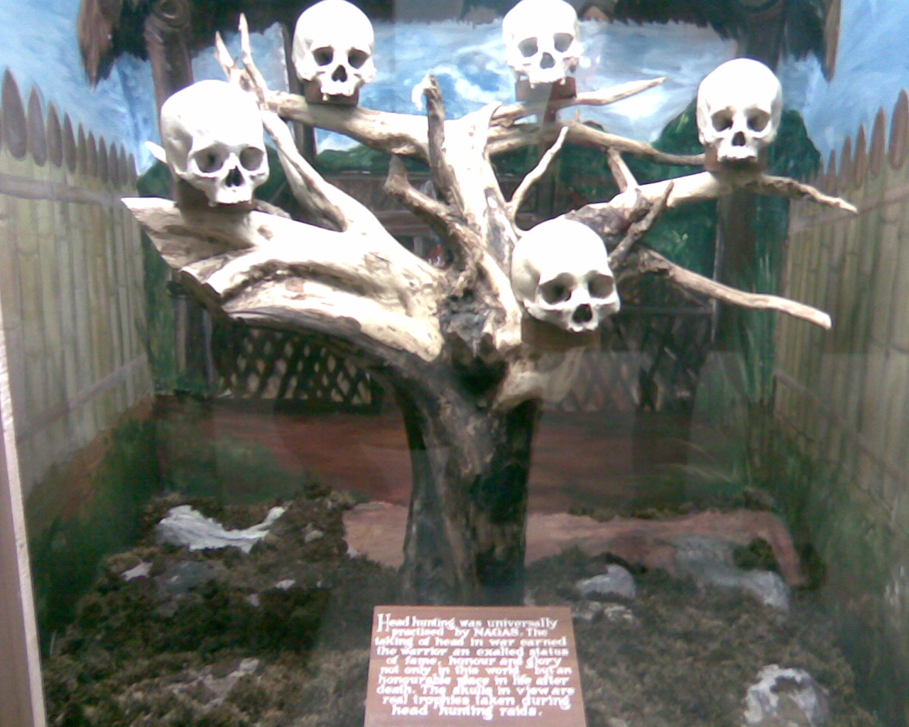 FOLKLORE FABLES FESTIVALS: SUPERSTITION BEHIND HUMAN SACRIFICE IN ...