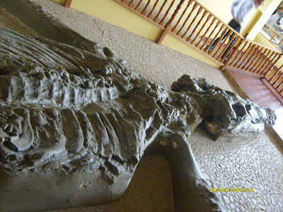 Apuntes de Zaratustra: Museo el Fósil en Villa de Leyva
