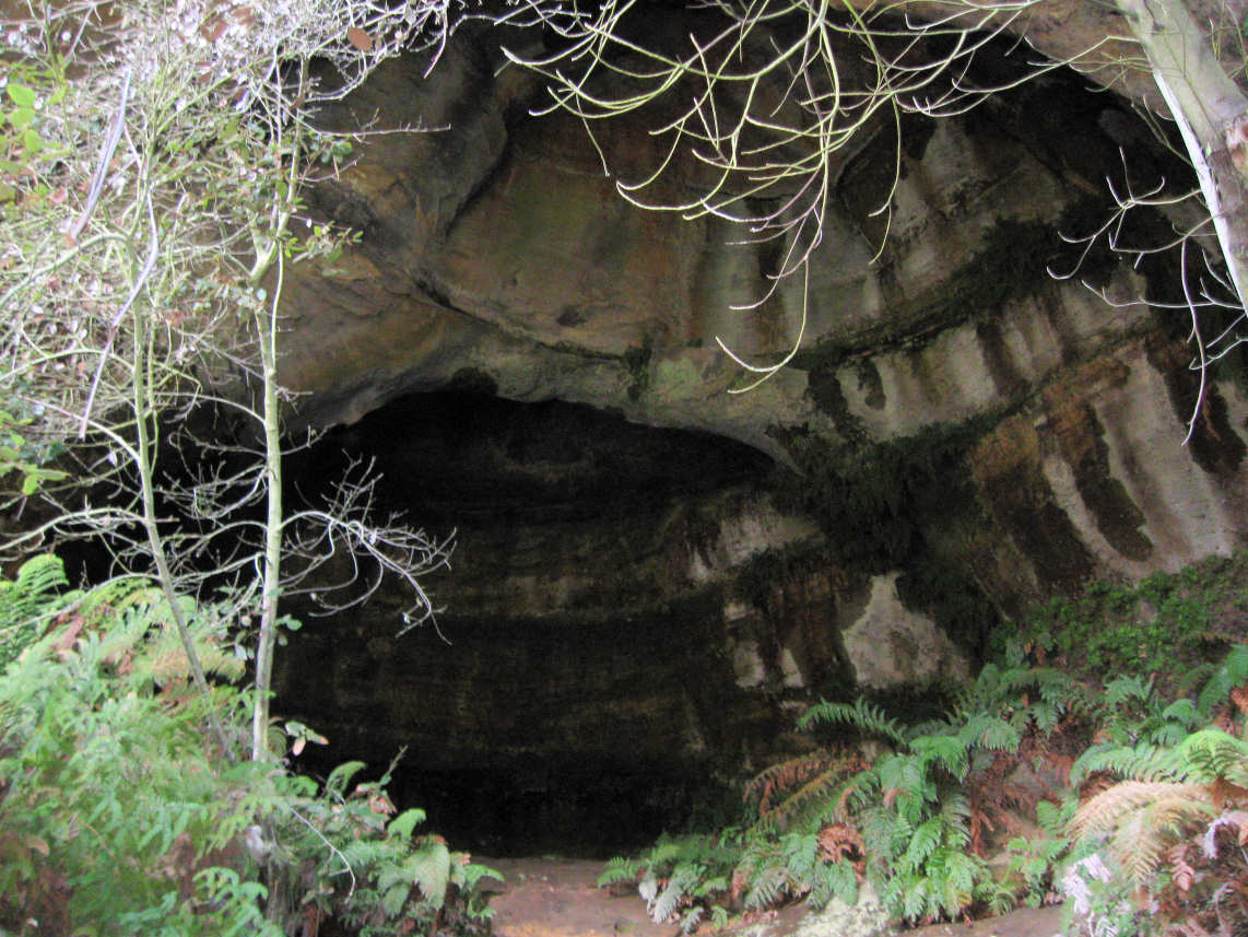 Mt. Victoria - Cox’s Cave | Our Walks