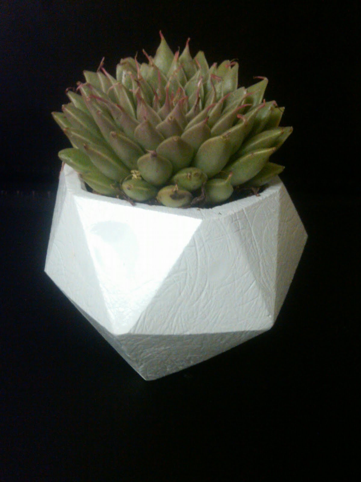 Hello Explorer: Polygon pot