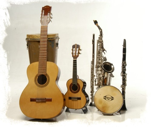 Débora Carla: O gênero musical