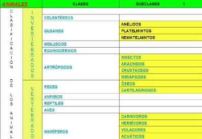 Clase 6º A CEIP Mata Linares: CLASIFICACIÓN DE LOS ANIMALES