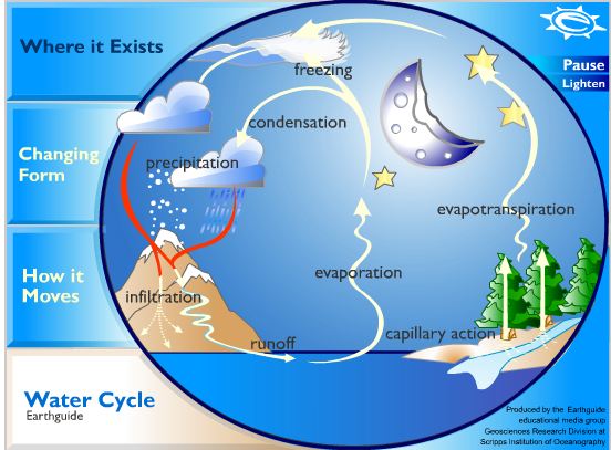 Getting SMARTER with SMART Boards: Animated "Water Cycle"