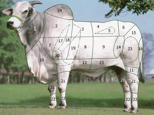 Deliceria: Cortes bovinos