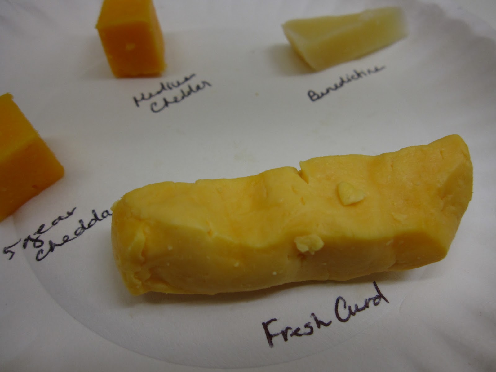 Madame Fromage: Wisconsin Cheese Coma