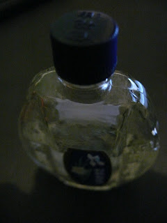 Tok Piksa: What is Development?